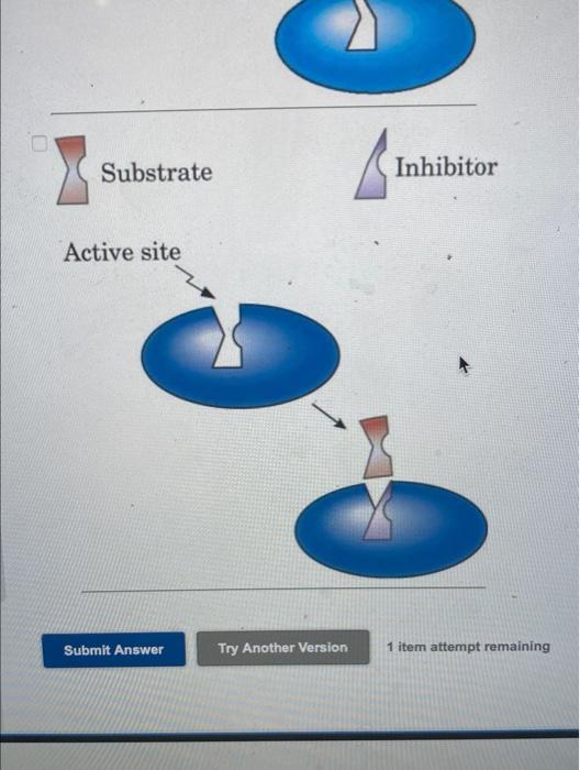 Solved Dan Koshland suggested the induced-fit mechanism for | Chegg.com