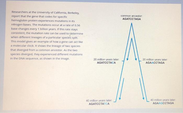 Solved Part B Using this sample model C as a guide, create a | Chegg.com