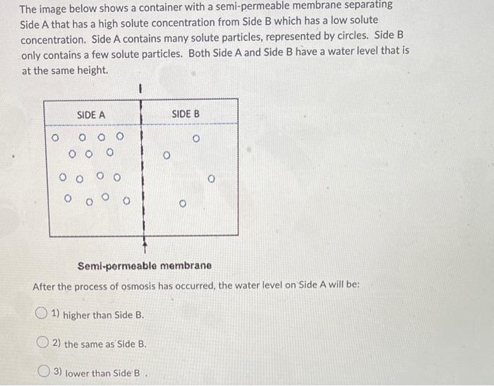Solved The image below shows a container with a | Chegg.com