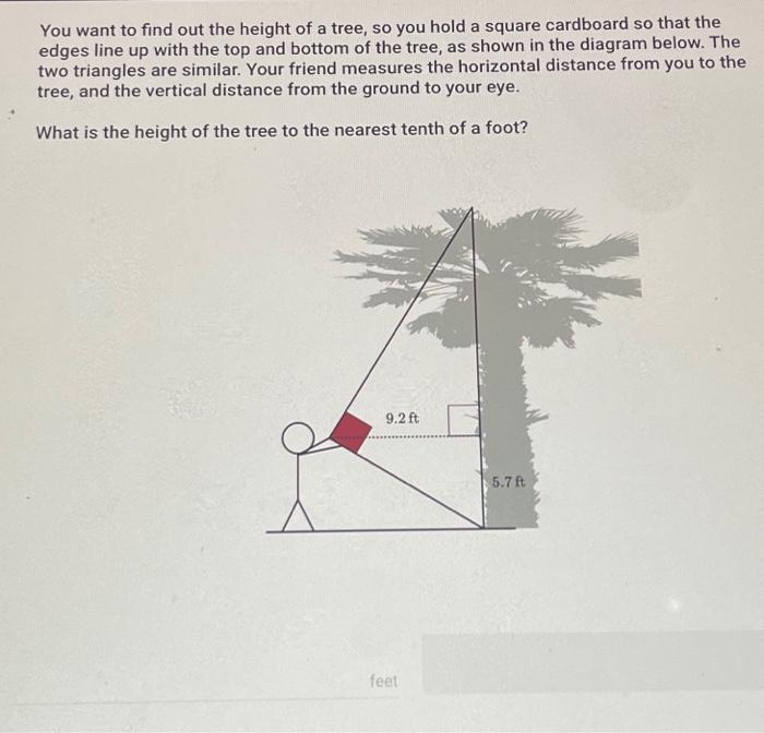 Solved You want to find out the height of a tree, so you | Chegg.com