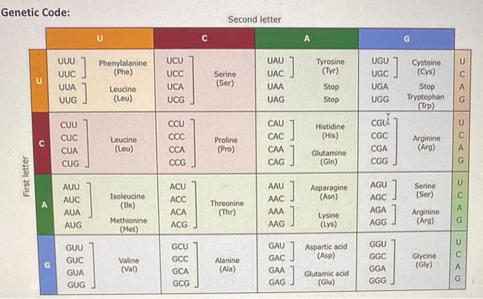Solved I. Use the prokaryotic gene DNA sequence below to | Chegg.com