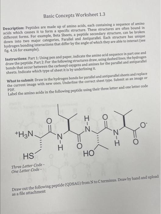Solved Basic Concepts Worksheet 1.3 Description: Peptides | Chegg.com