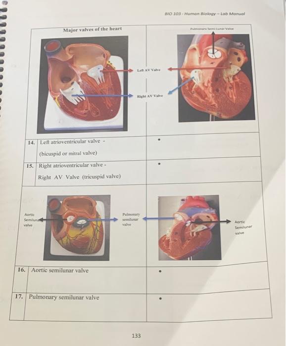 Solved NO 102-Human Biology - Lab Manual Activity 3: | Chegg.com