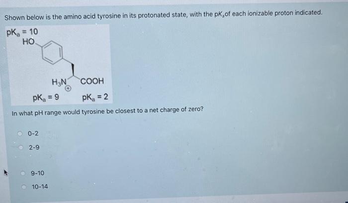 Solved Shown below is the amino acid tyrosine in its | Chegg.com