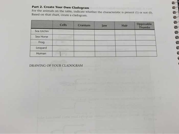 Solved Part 2. Create Your Own Cladogram For the animals on | Chegg.com