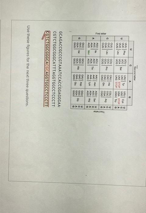 Solved Above (right) shows a portion of the Green | Chegg.com