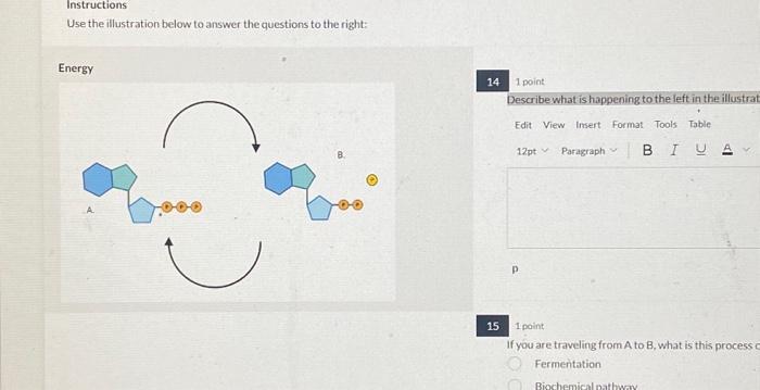 Instructions Use the illustration below to answer | Chegg.com