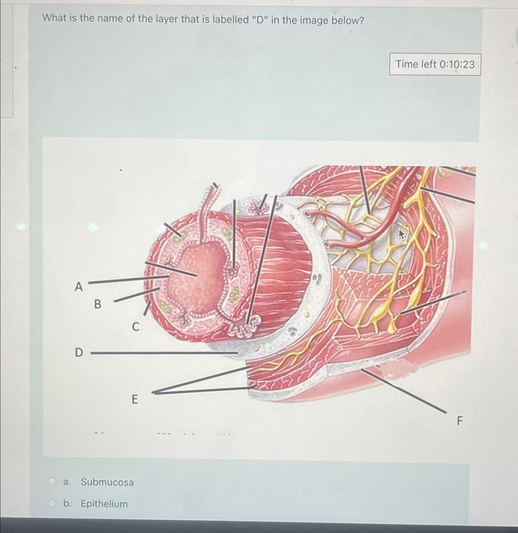 Solved What is the name of the layer that is labelled " D " | Chegg.com