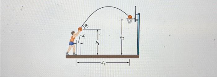 Solved At what initial speed must the basketball player in | Chegg.com