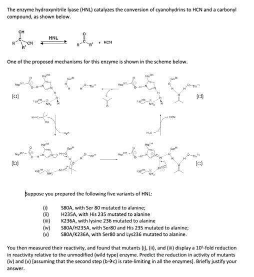 Solved The enzyme hydroxynitrile lyase (HNL) catalyzes the | Chegg.com
