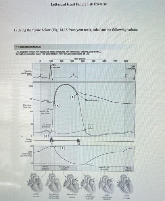 Left-sided Heart Failure Lab Exercise 1) Using the | Chegg.com