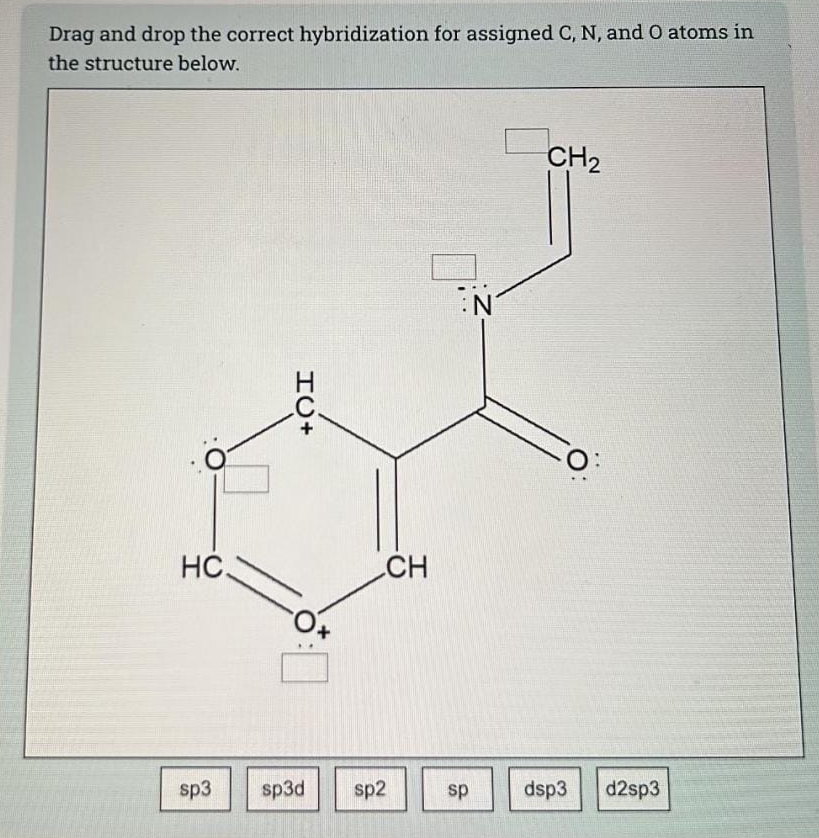 Solved Drag and drop the correct hybridization for assigned | Chegg.com