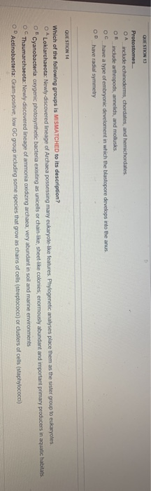 Solved QUESTION 13 Protostomes. O include echinoderms, | Chegg.com