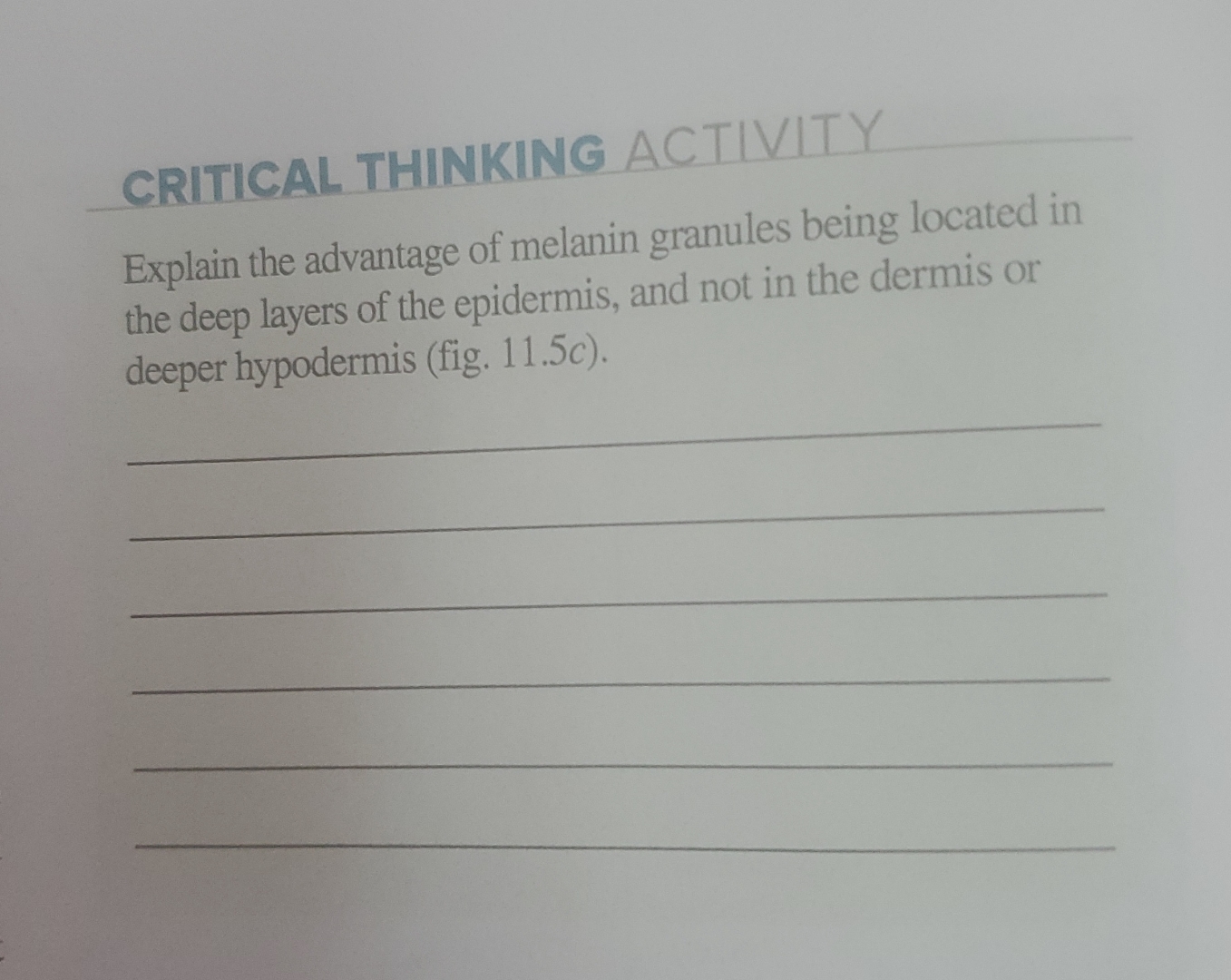 Solved CRITICAL THINKING ACTIVITYExplain the advantage of | Chegg.com