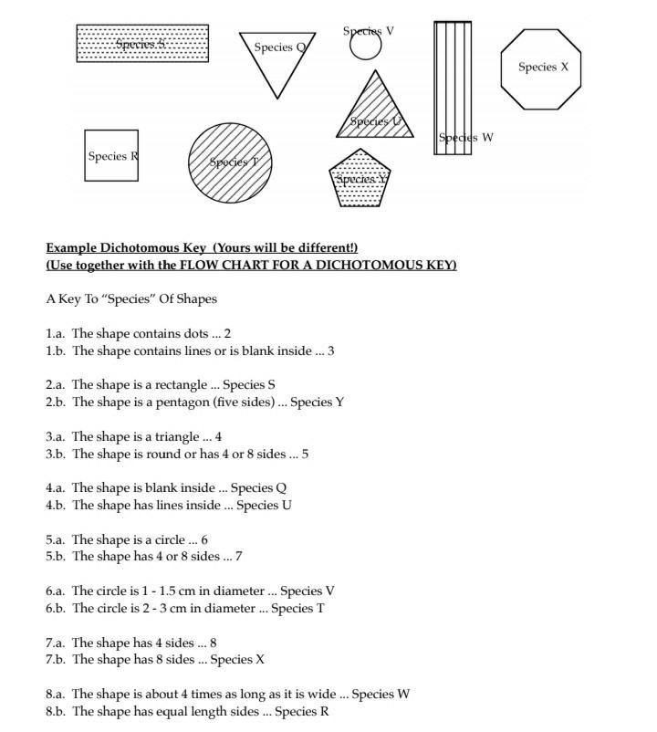 Solved Spectes V Sperius: 5 Species ཅིགས་གང་ Species X | Chegg.com