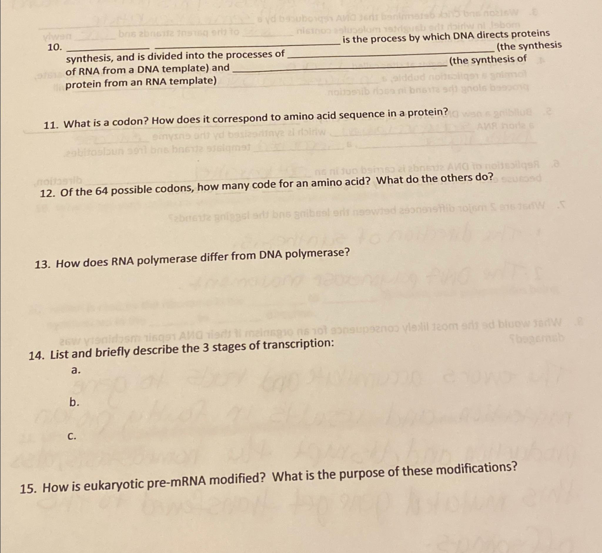 Solved is the process by which DNA directs proteins (the | Chegg.com