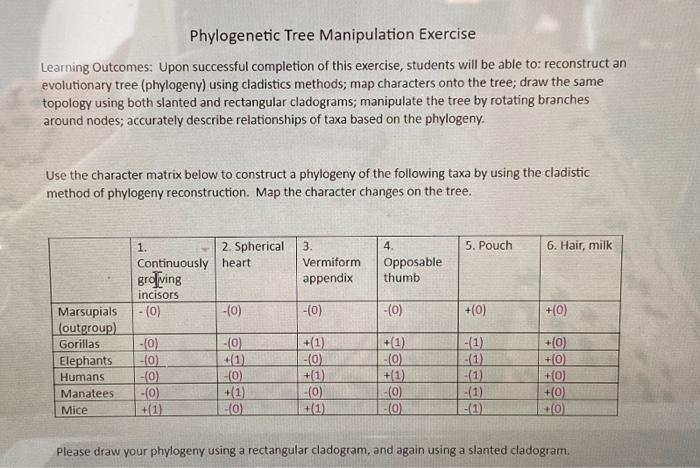 Solved Phylogenetic Tree Manipulation Exercise Learning