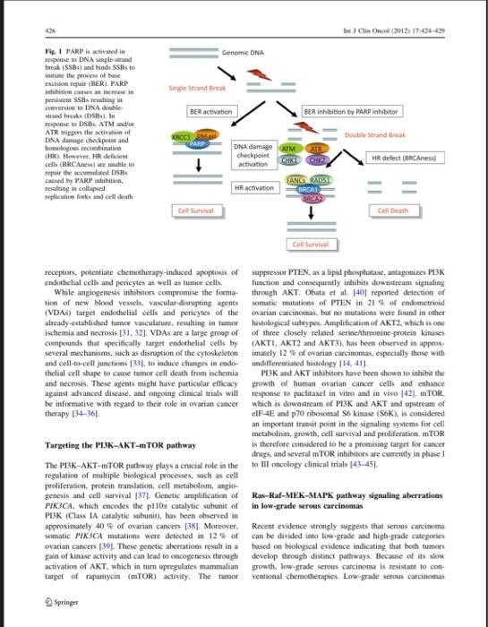 Solved 1.Discuss the major molecular signaling pathways | Chegg.com