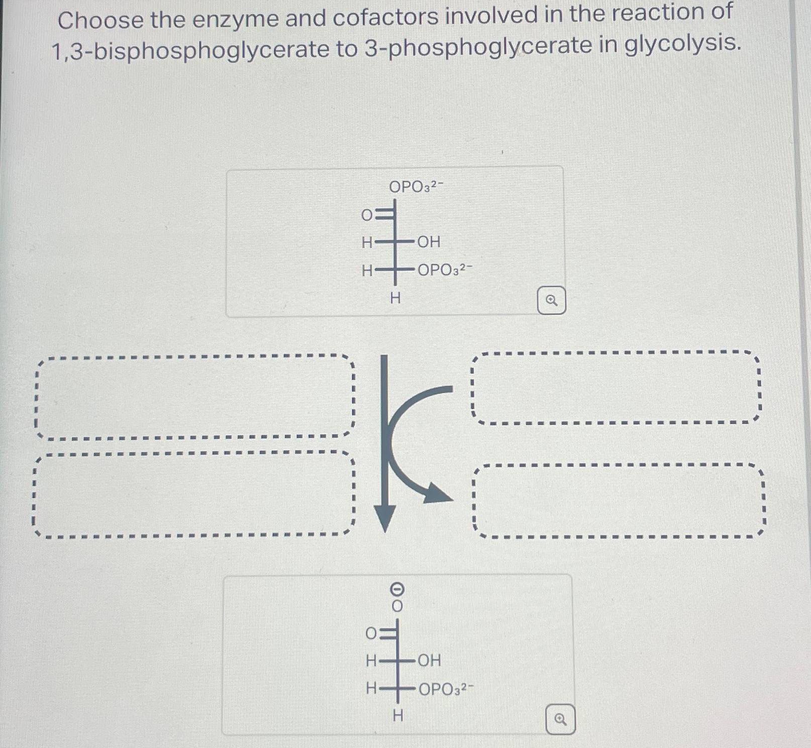 Solved Choose the enzyme and cofactors involved in the | Chegg.com