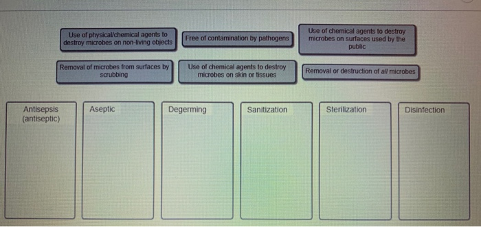 Solved Use of physical chemical agents to destroy microbes | Chegg.com