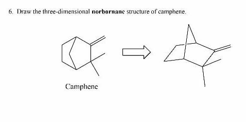 Solved 6. Draw the three-dimensional norbornanc structure of | Chegg.com