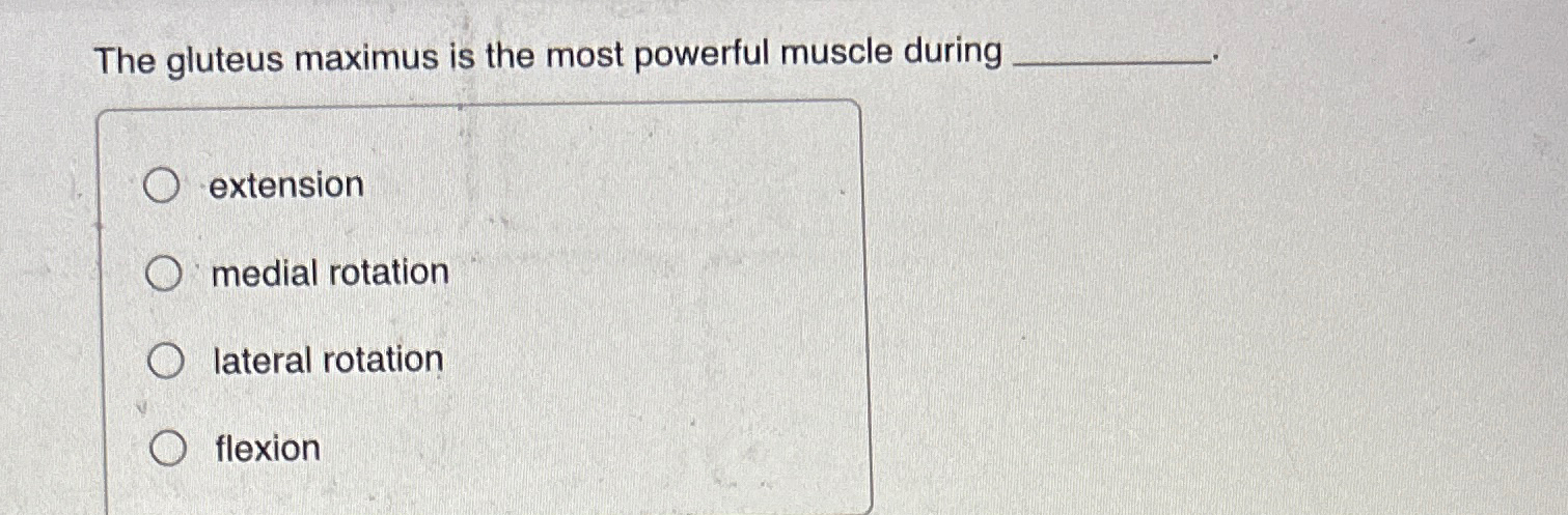 Solved The gluteus maximus is the most powerful muscle | Chegg.com