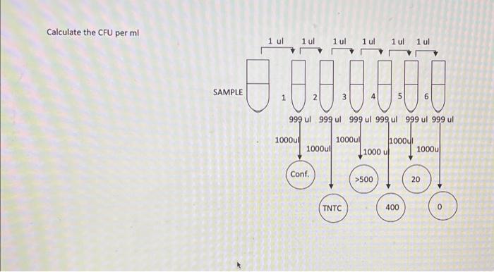 Solved Calculate the CFU per ml | Chegg.com