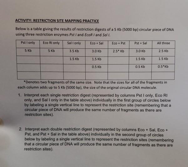 Solved ACTIVITY: RESTRICTION SITE MAPPING PRACTICE Below is | Chegg.com