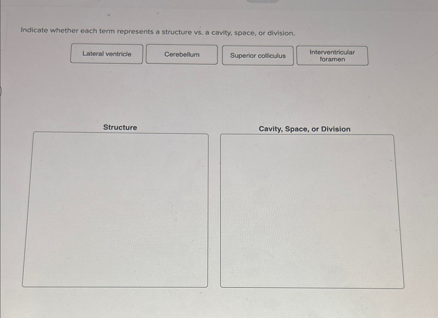 Solved Indicate whether each term represents a structure vs. | Chegg.com Solved Indicate whether each term represents a structure vs. | Chegg.com