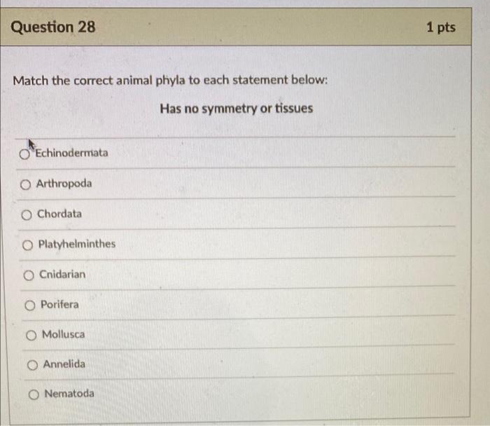 Solved Match the correct animal phyla to each statement | Chegg.com