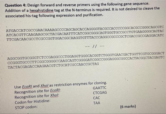 Solved Question 4: Design forward and reverse primers using | Chegg.com
