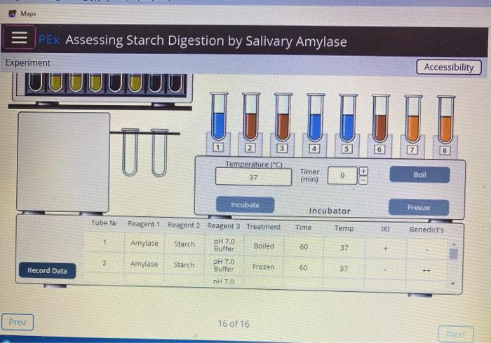 Solved Maps = PEx Assessing Starch Digestion by Salivary | Chegg.com