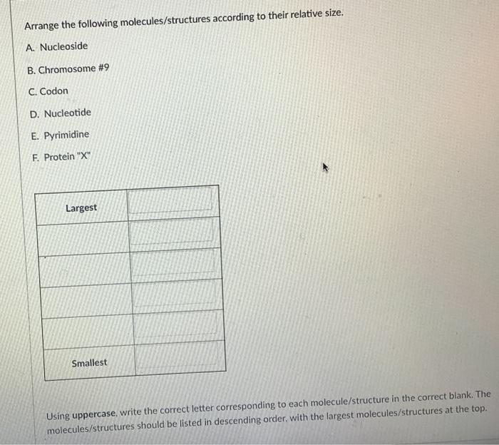 Solved Arrange the following molecules/structures according | Chegg.com