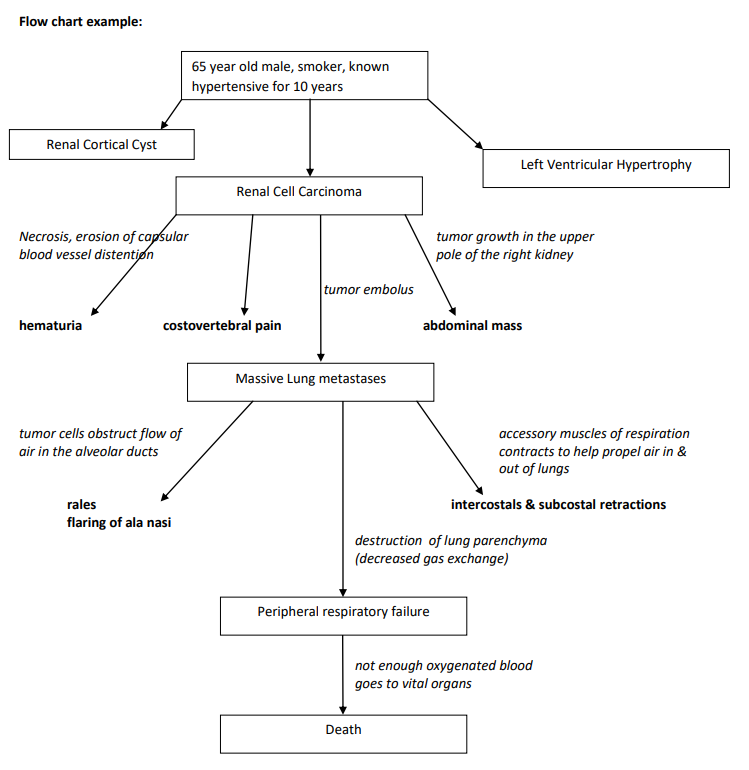Solved CREATE A FLOWCHART EXACTLY LIKE THE IMAGE/EXAMPLE | Chegg.com