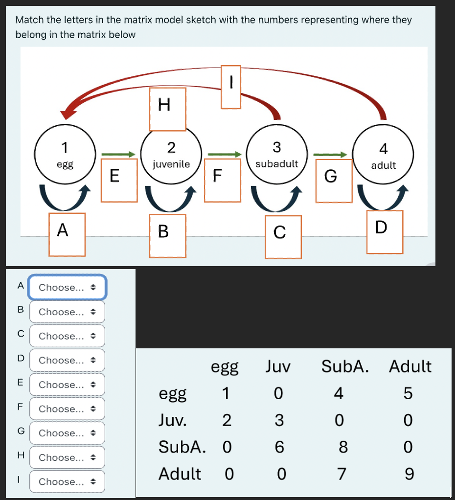Solved Match the letters in the matrix model sketch with the | Chegg.com
