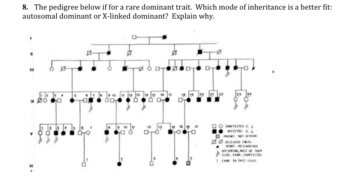 Solved The pedigree below if for a rare dominant trait. | Chegg.com