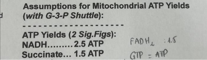Solved ATP Accounting: Be able to count up how many ATPs are | Chegg.com