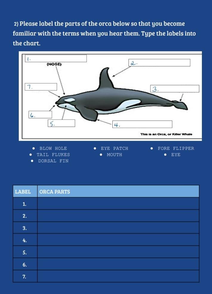 2) Please label the parts of the orca below so that | Chegg.com