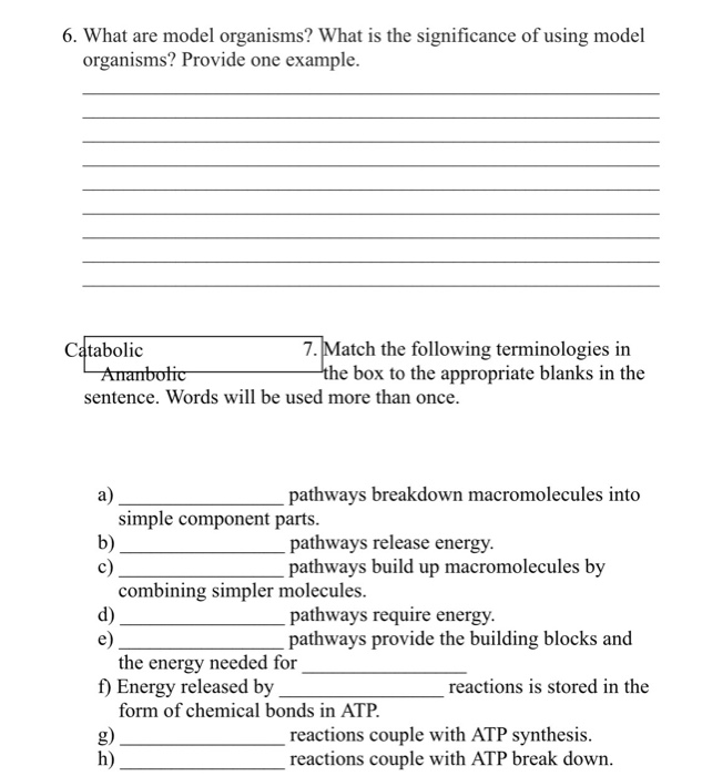 Solved 6. What are model organisms? What is the significance | Chegg.com