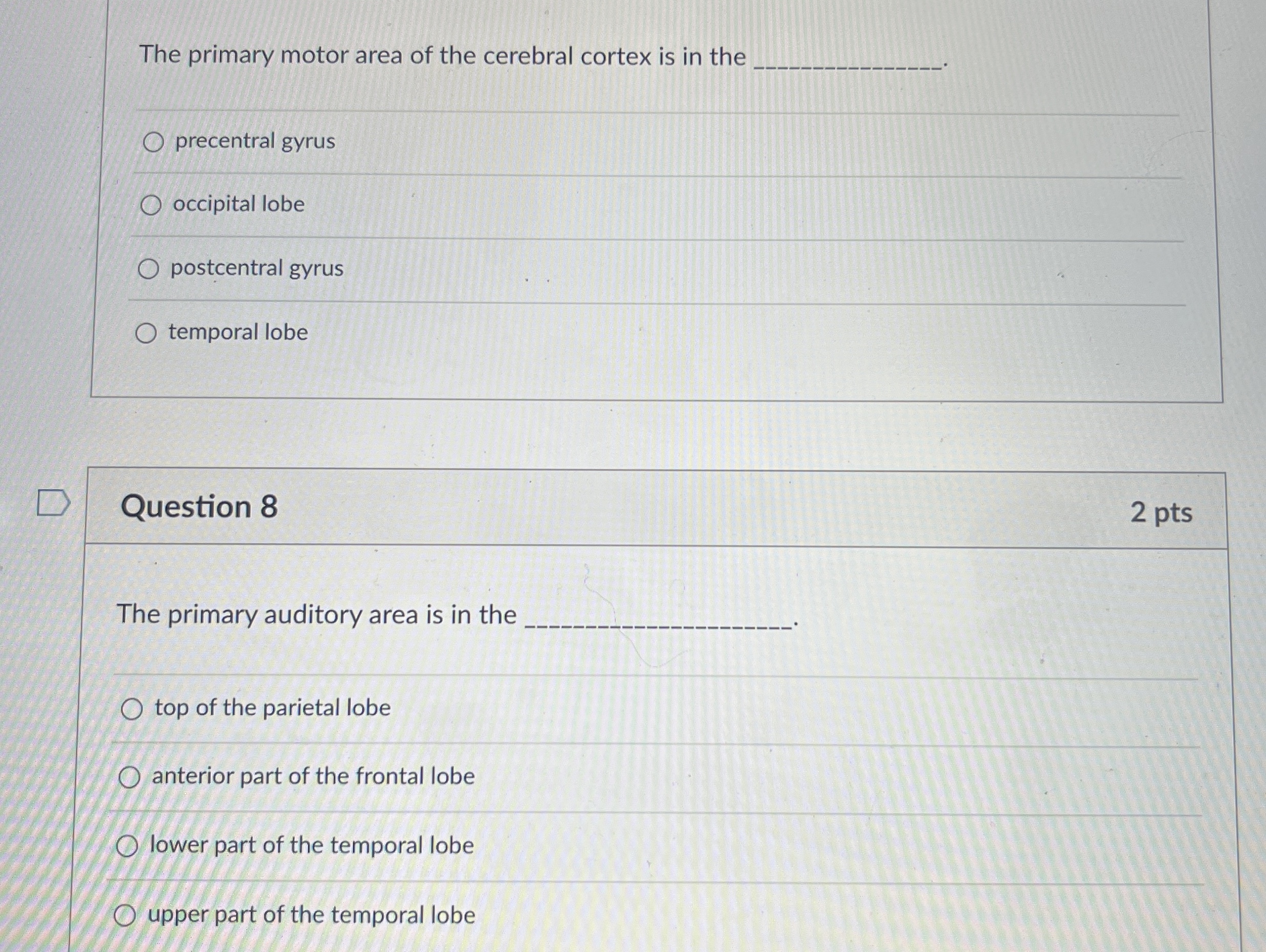 Solved The primary motor area of the cerebral cortex is in | Chegg.com