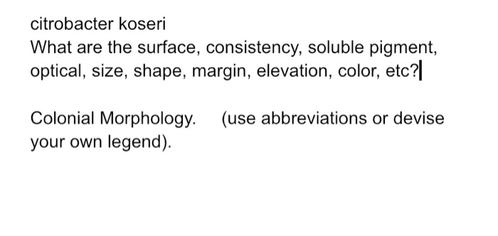 Solved citrobacter koseri What are the surface, consistency, | Chegg.com