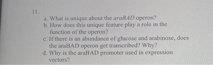 Solved 11. a. What is unique about the araBAD operon? b. How | Chegg.com