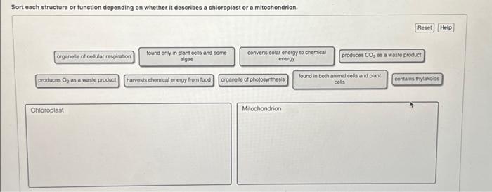 Solved Sort each structure or function depending on whether | Chegg.com