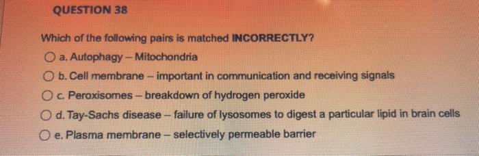 Solved Which of the following pairs is matched INCORRECTLY? | Chegg.com