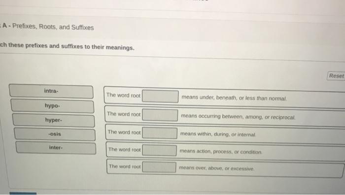 Solved EA - Prefixes, Roots, and Suffixes ch these prefixes | Chegg.com