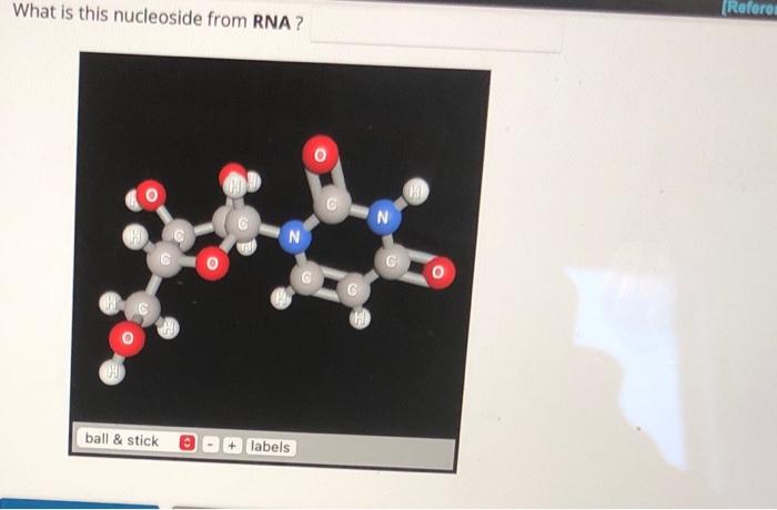 Solved What is this nucleoside from RNA? | Chegg.com