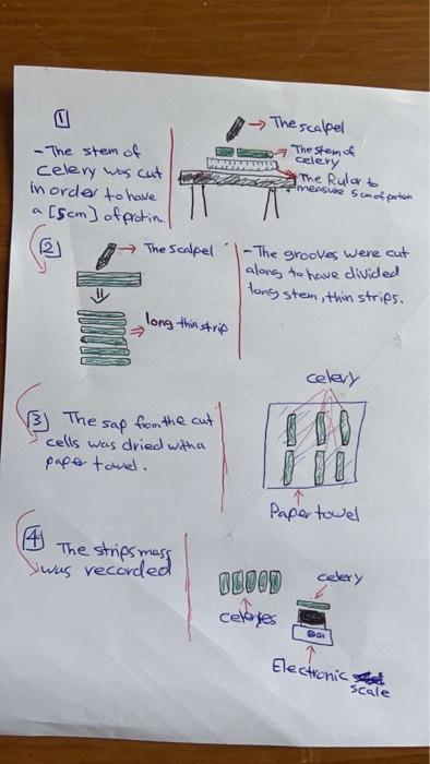 Solved can you rewrite the digram by hand please and if you | Chegg.com