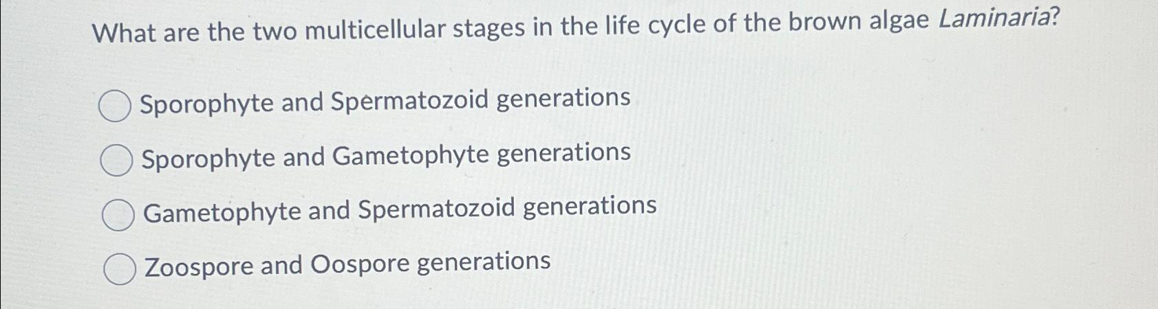 Solved What are the two multicellular stages in the life | Chegg.com