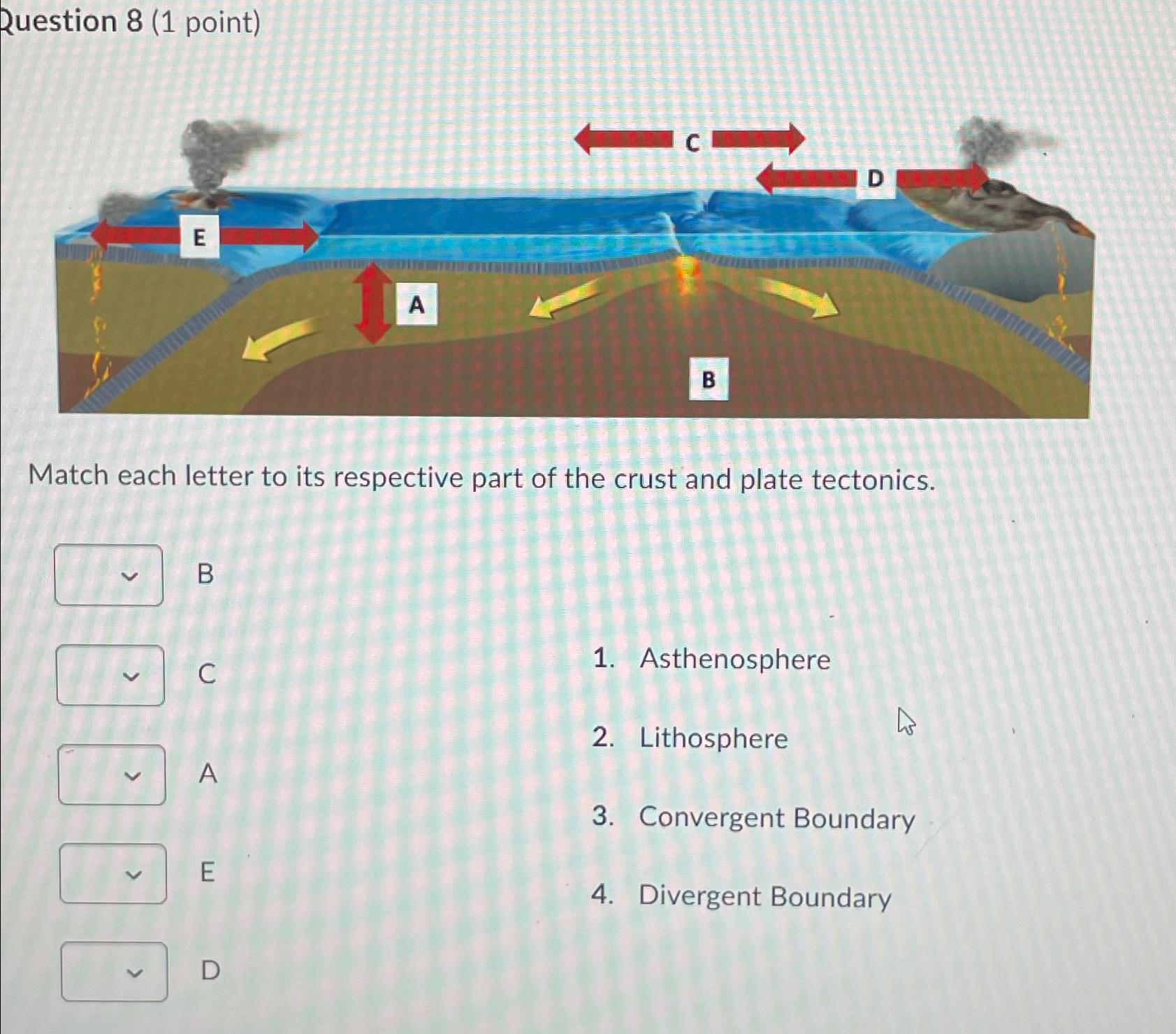 Solved Ruestion 8 (1 ﻿point)Match each letter to its | Chegg.com