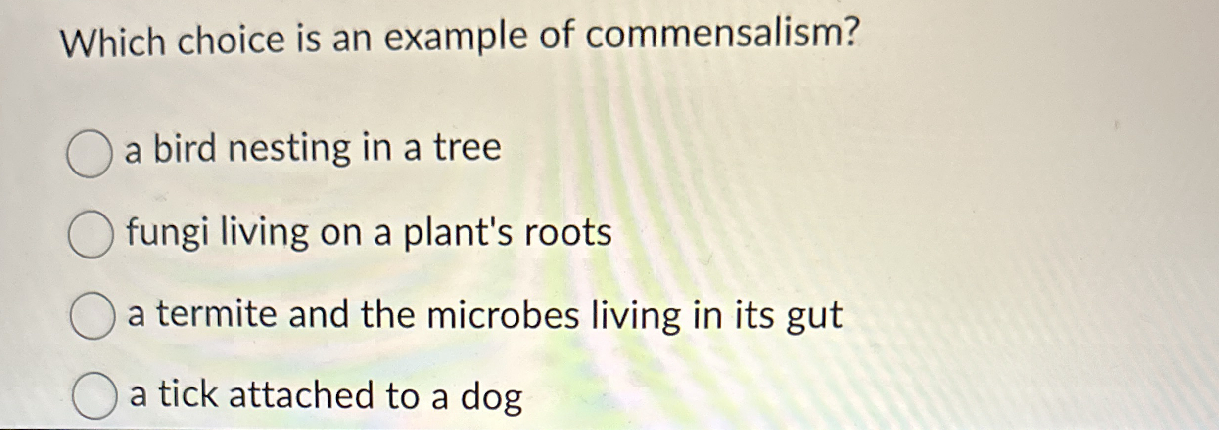 Solved Which choice is an example of commensalism?a bird | Chegg.com